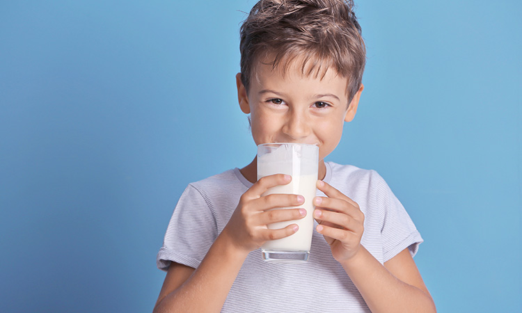 Lactalis international, Grand Export division of the Lactalis Group