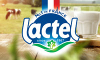 Lactalis international, Grand Export division of the Lactalis Group