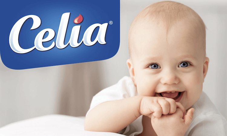 Lactalis international, Grand Export division of the Lactalis Group